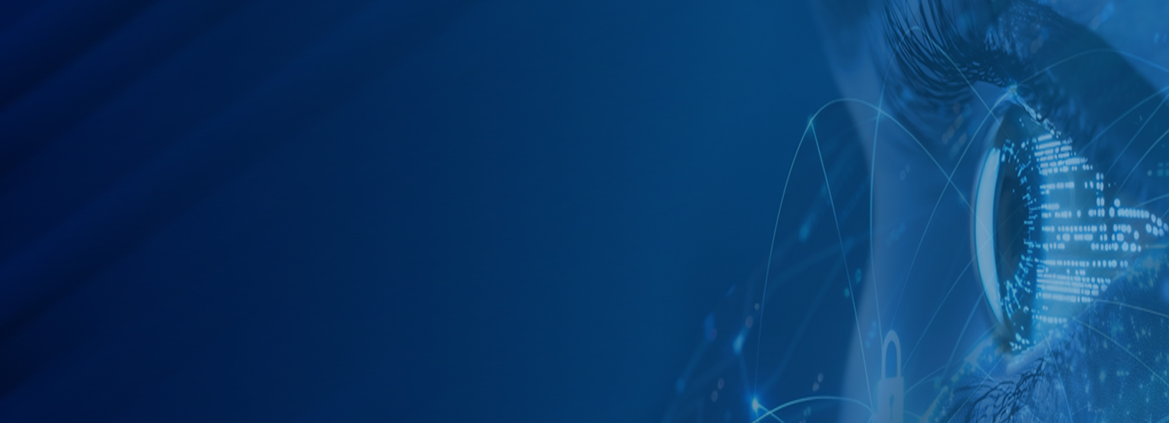 Vanguard Integrity Professionals | z/OS Mainframe Software ...