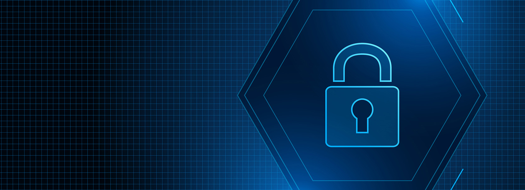 Vanguard Integrity Professionals | Secure Access & Authentication ...